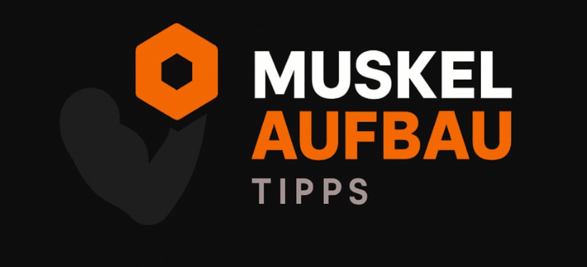 So wachsen Muskeln: Wissenschaft und Fakten zum Muskelaufbau ...